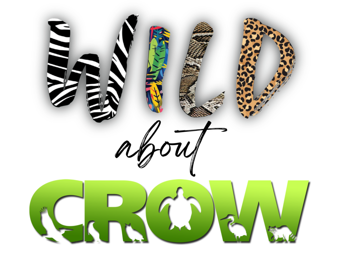 WILD About CROW to support major renovation of visitor center - SANIBEL ...